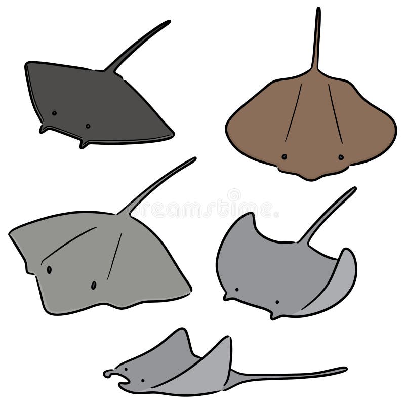Vector set of ray fish stock vector. Illustration of simple - 144520317