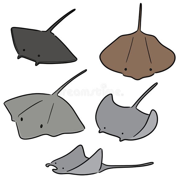 Vector set of ray fish stock vector. Illustration of simple - 144520317