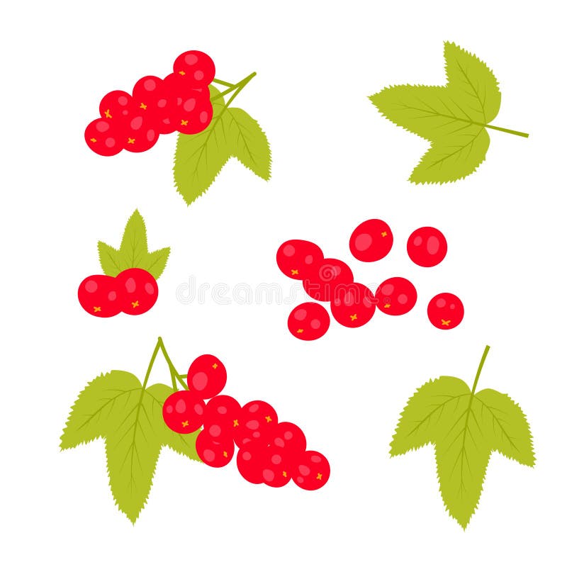Set of red currants. stock vector. Illustration of print - 156303065