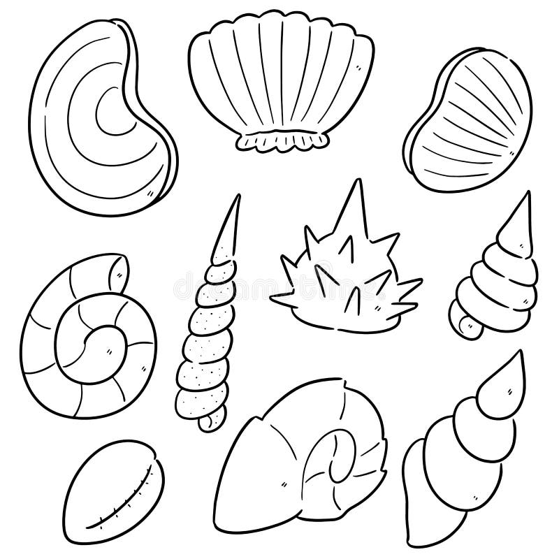 Vector set of sea shell stock vector. Illustration of oyster - 144478571