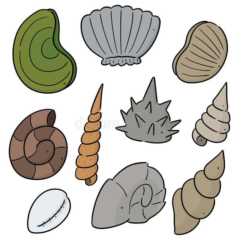 Vector set of sea shell stock vector. Illustration of oyster - 144478571
