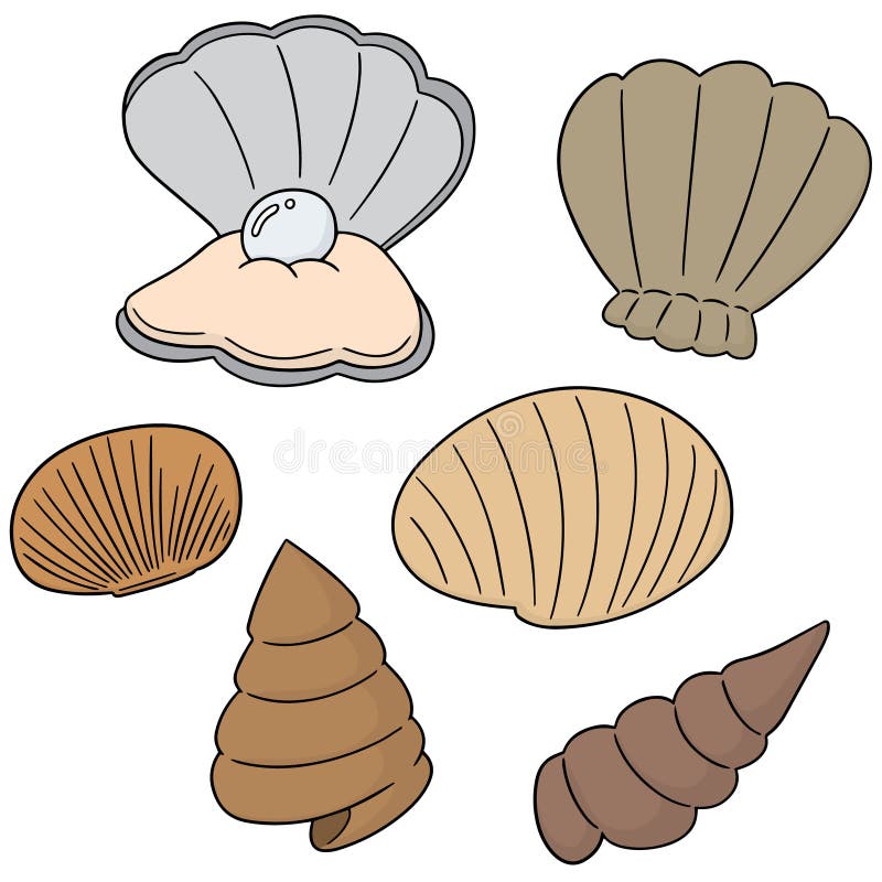 Vector set of sea shell stock vector. Illustration of doodle - 118215173