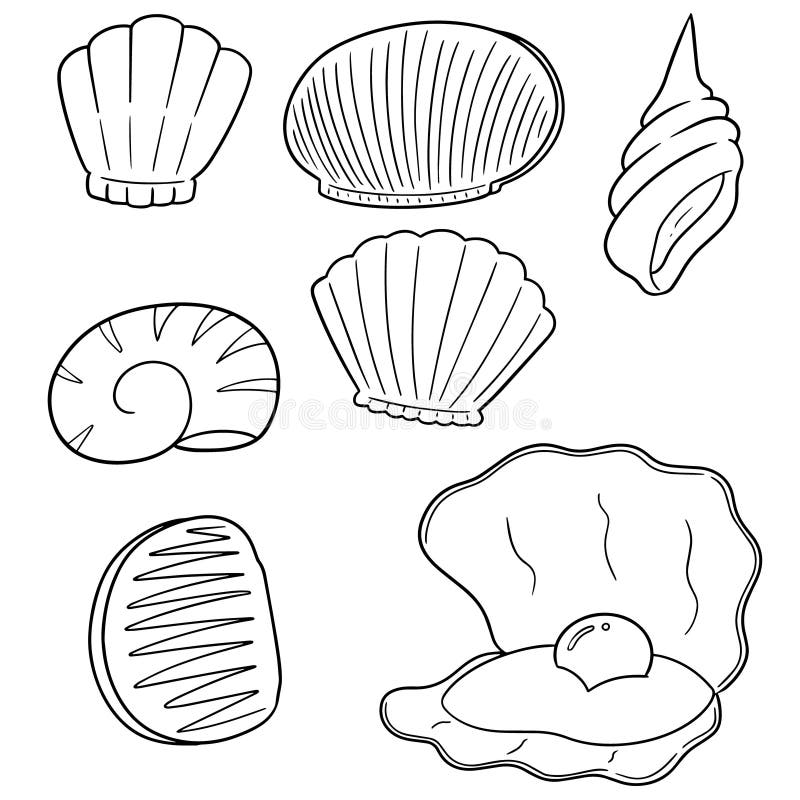 Vector set of sea shell stock vector. Illustration of oyster - 144478571