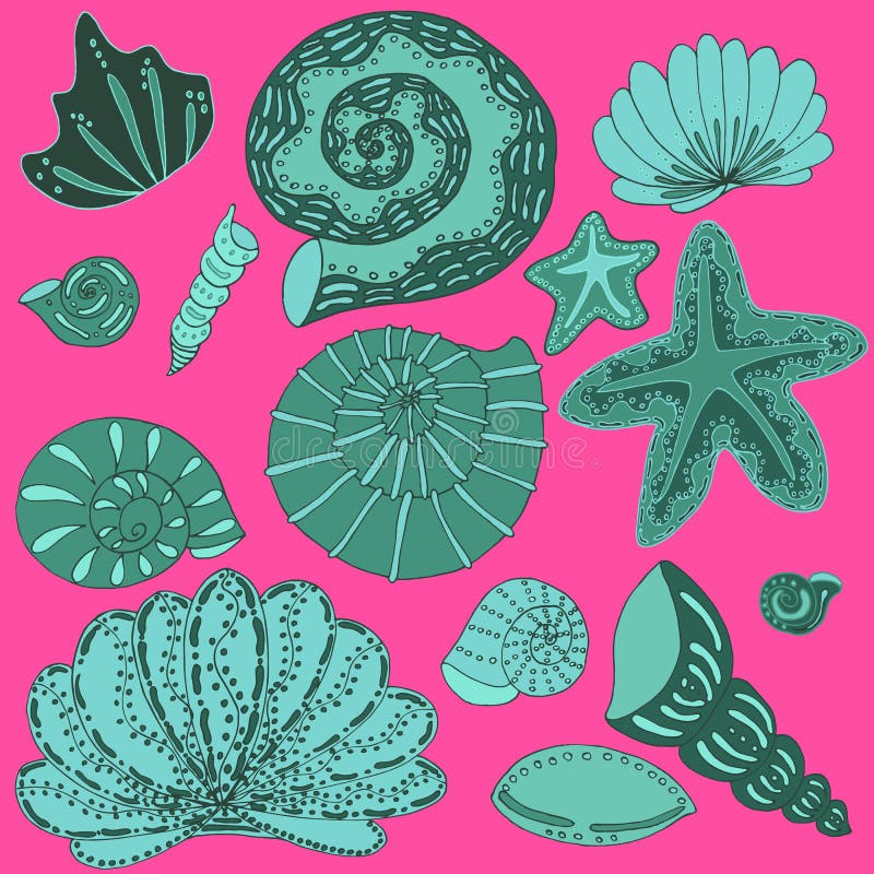 Set seashells and stars stock vector. Illustration of doodle - 209200381