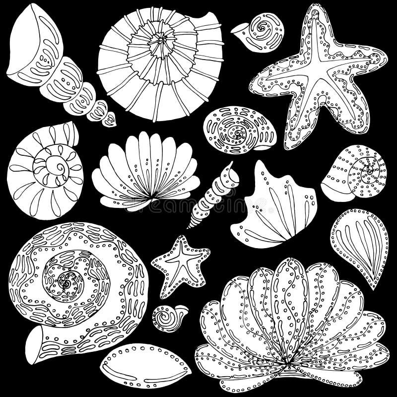 Vector Set Seashells and Stars Stock Vector - Illustration of aquatic ...