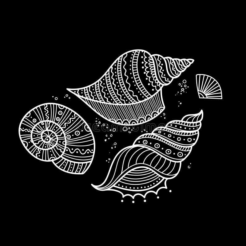 Vector Set of Shells in Ethnic Tribal Boho Style with Ornament. Stock ...