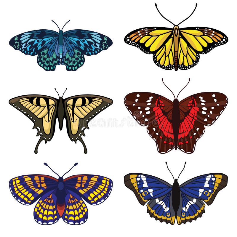 Vector Set with Six Butterflies Stock Vector - Illustration of ...