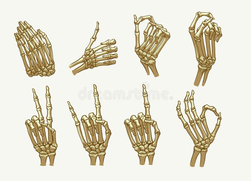 Set of Skeleton Hand Gesture Hand Drawn Stock Vector - Illustration of ...
