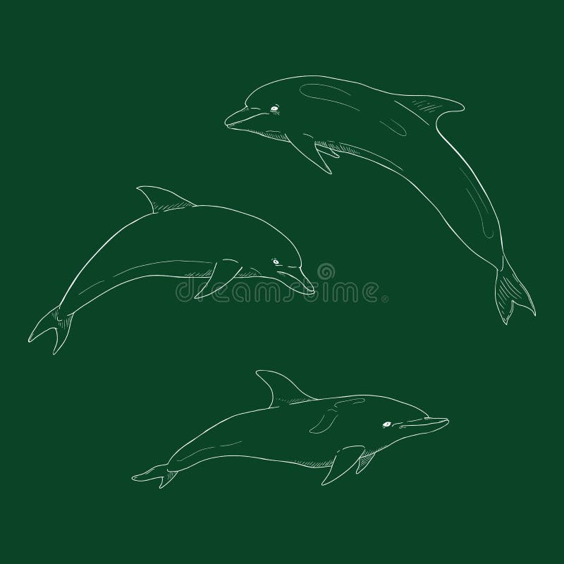 Vector Set of Sketch Dolphin Stock Vector - Illustration of aqua ...