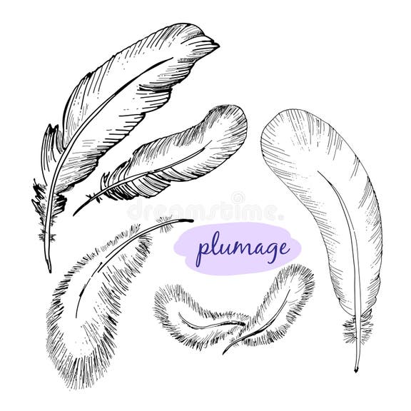 Hand Writing Quill Stock Illustrations – 3,372 Hand Writing Quill Stock ...