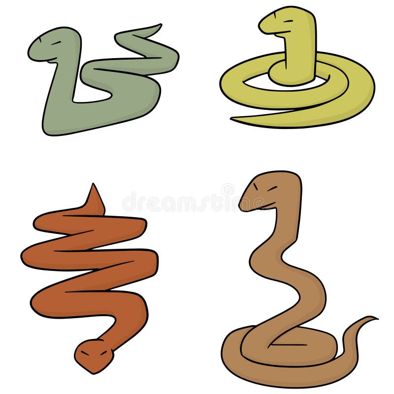 Vector set of snake stock vector. Illustration of line - 117623594