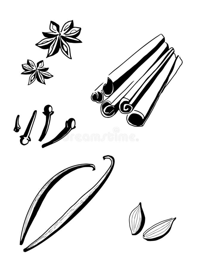 Vector set of spices stock vector. Illustration of seed - 168088410