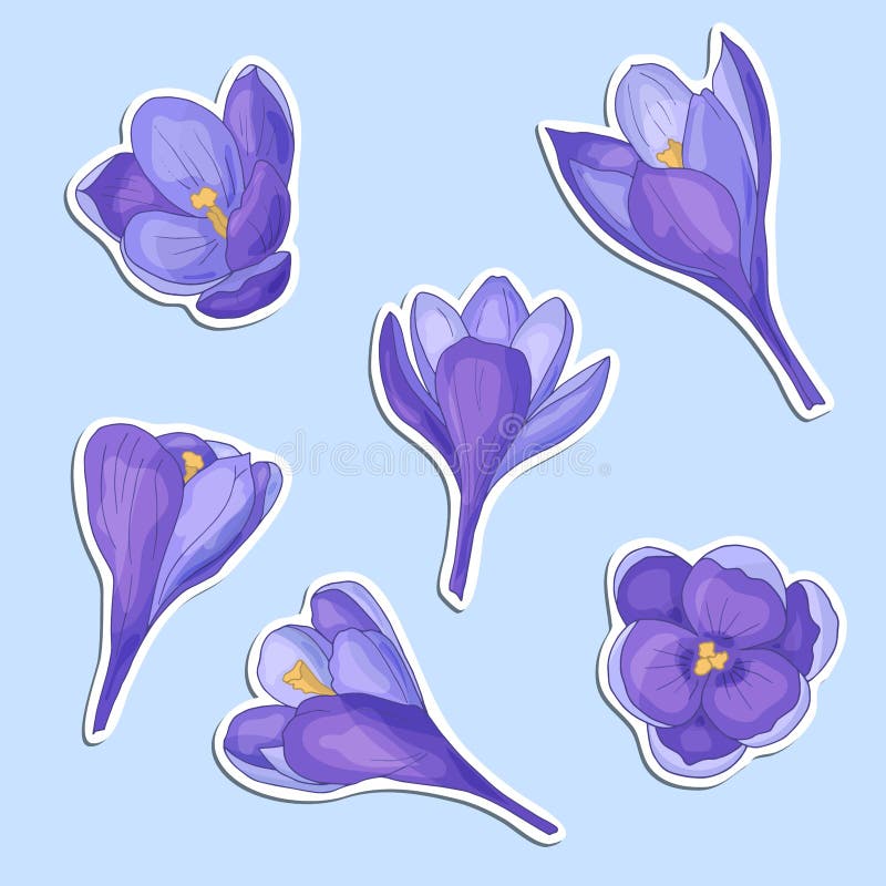 A Set of Stickers with Spring Crocuses Stock Vector - Illustration of ...