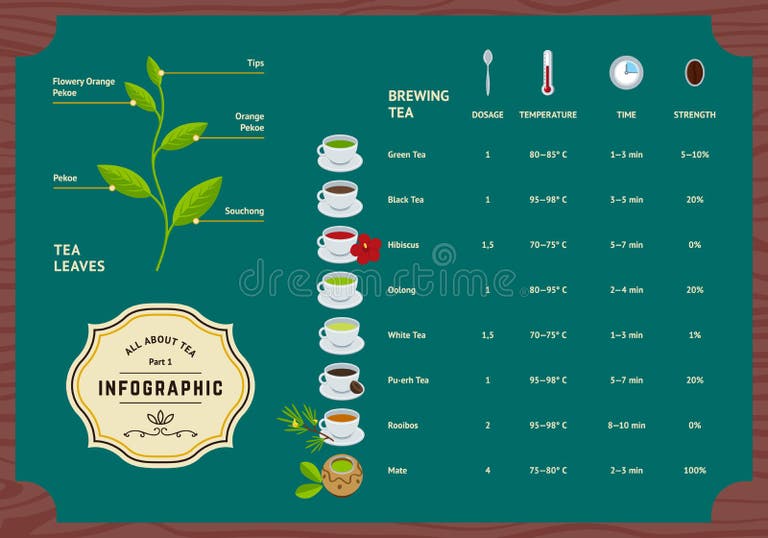 Classification Plants Stock Illustrations – 298 Classification Plants ...