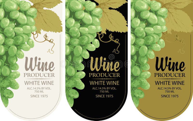 Vector Set of Three Wine Labels with Grape Bunches Stock Vector ...