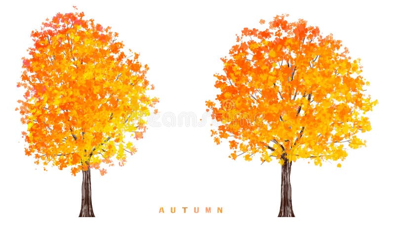 Vector of Autumn Tree or Forest Side View Isolated on White Background ...