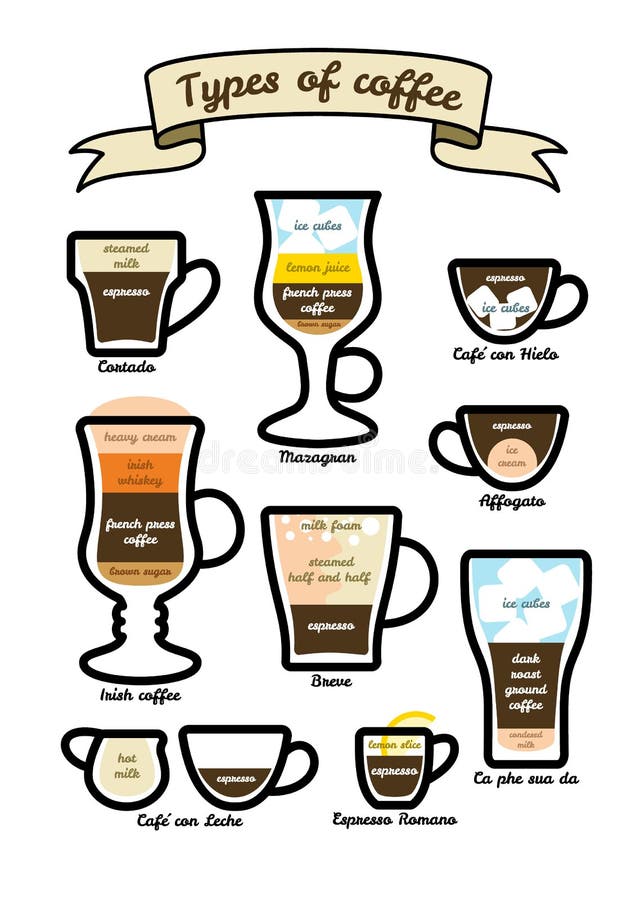 Types of Coffee Vector Illustration. Infographic of Coffee Types Stock ...