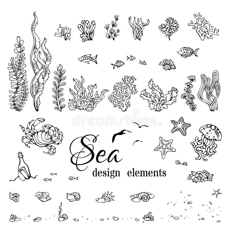 Vector Set Of Underwater Marine Design Elements. Stock Vector ...