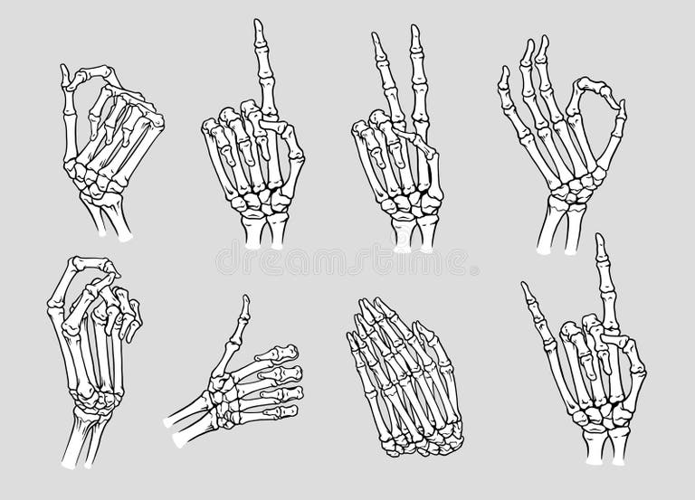 Skeleton Hand Gesture Stock Illustrations – 763 Skeleton Hand Gesture ...