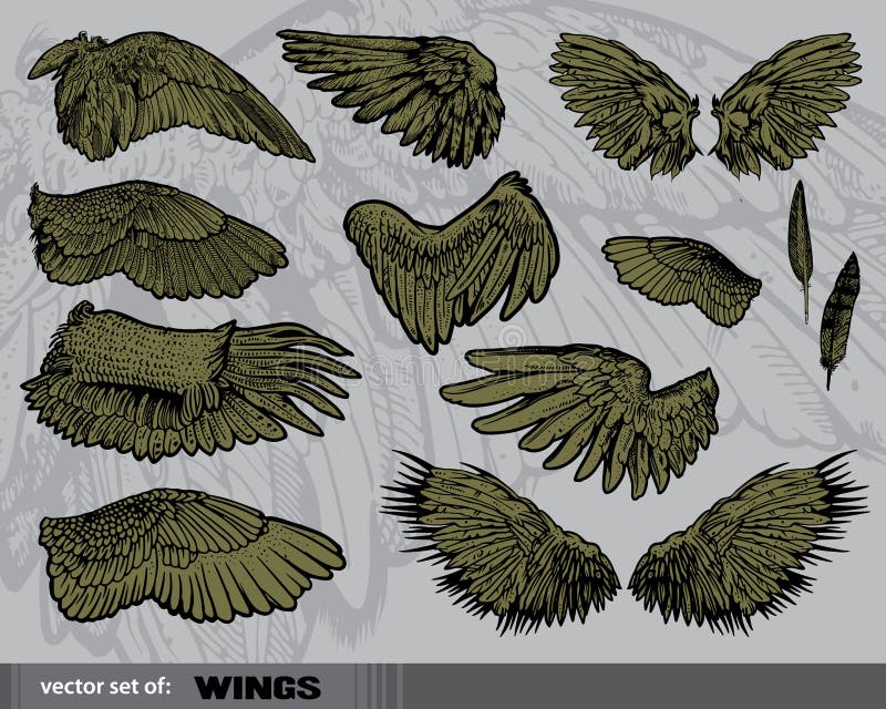 Vector set of Wings stock vector. Illustration of evilness - 19269247