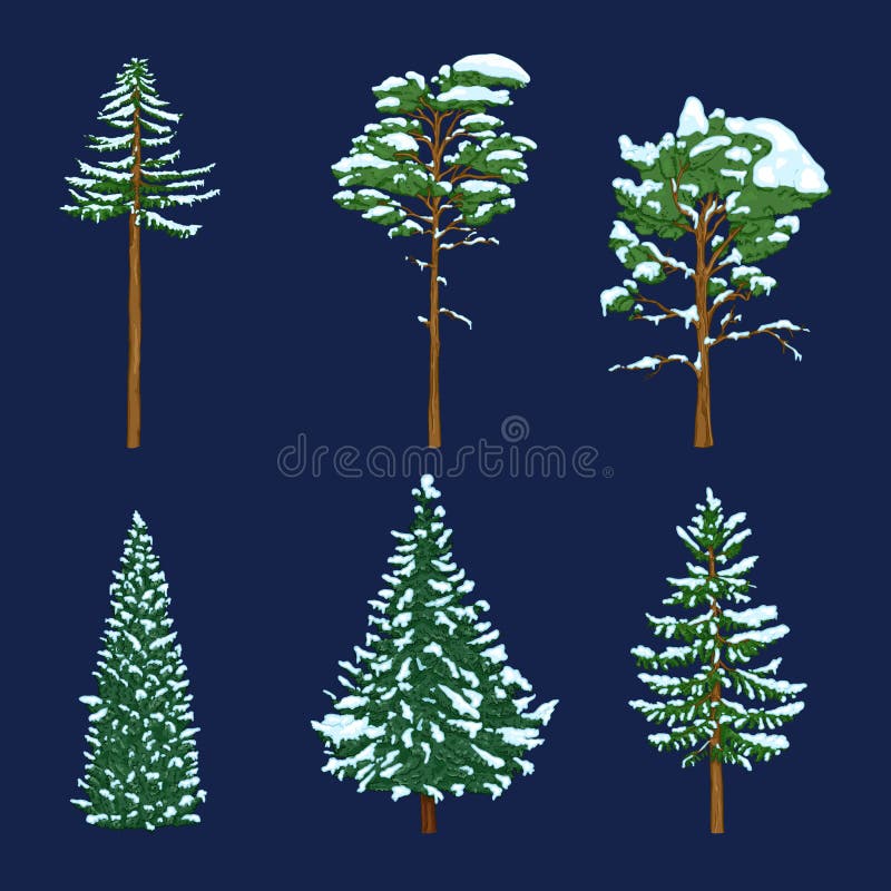 Vector Set of Winter Cartoon Pin Trees, Cedar and Spruce Stock Vector ...
