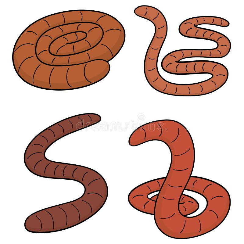 Vector set of worm stock vector. Illustration of collection - 120409360