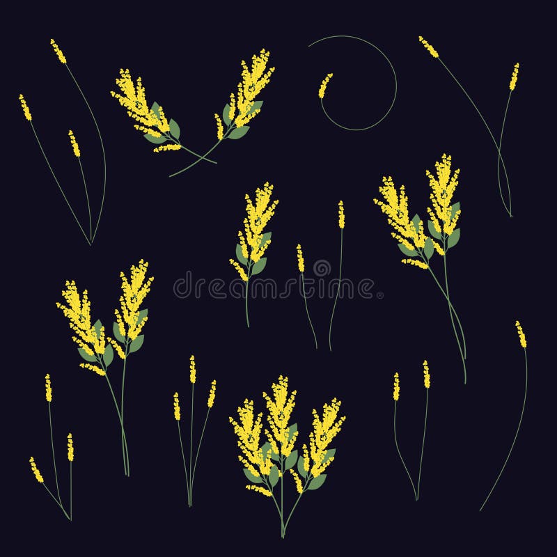 Vector Set of Yellow Flowers for Design. Simple Yellow Bouquets Stock ...