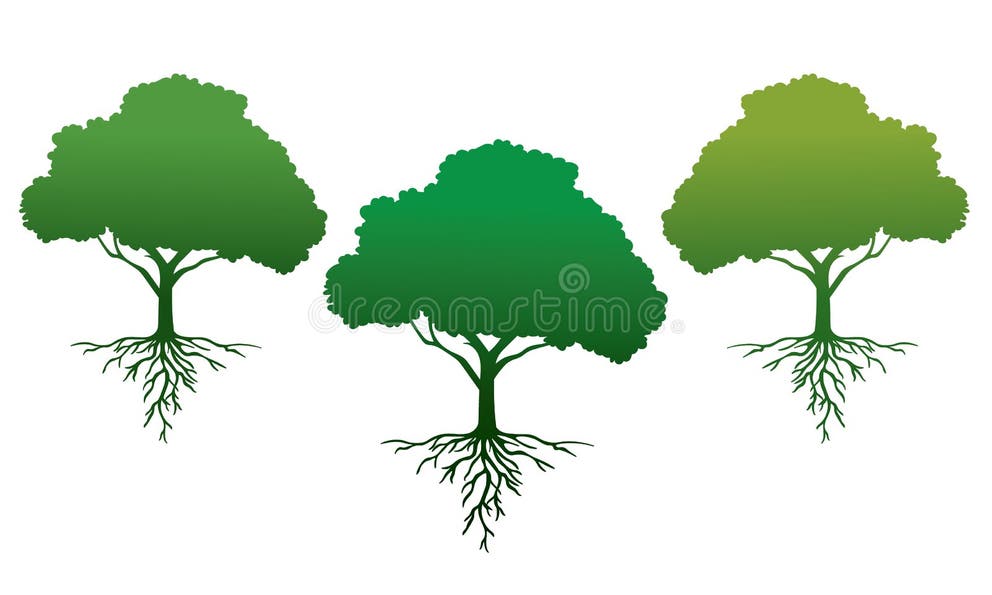 Vector Shape of Three Trees with Roots Stock Vector - Illustration of ...