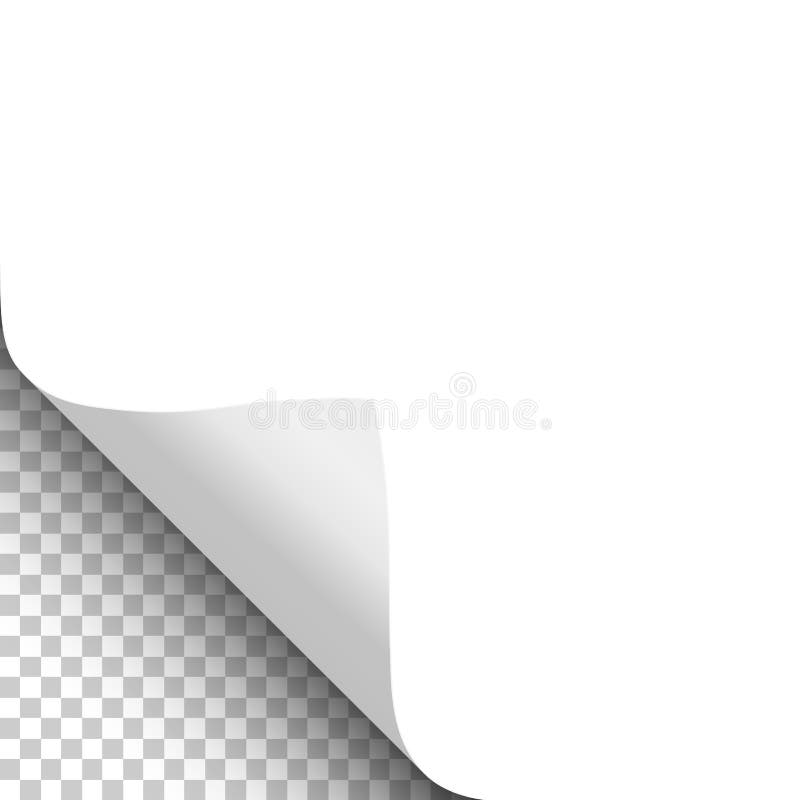 Vector Sheet of White Paper with Curled Corner, Soft Shadow and ...
