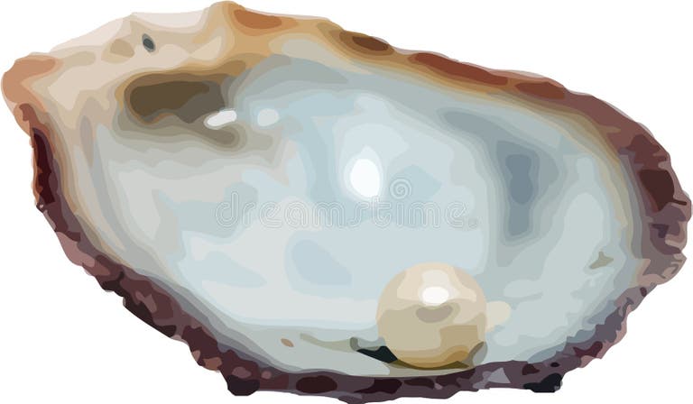Bumpy Shell Stock Illustrations – 291 Bumpy Shell Stock Illustrations ...