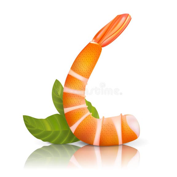 Cooked Shrimp Stock Illustrations – 24,787 Cooked Shrimp Stock ...
