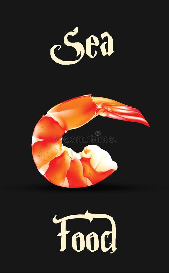 Vector Shrimp Seafood Design Template. Prawn Illustration Isolated on ...