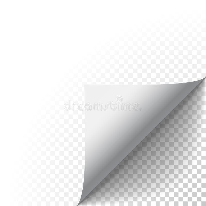 Vector Sicker Paper Peel Curled Fold with Shadow Stock Illustration ...