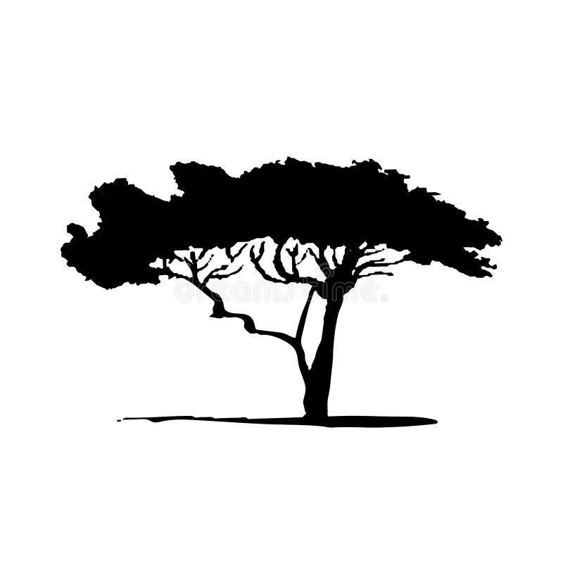 Vector Silhouette of Acacia Tree. African Flora Stock Vector ... Vector Silhouette of Acacia Tree. African Flora Stock Vector ...