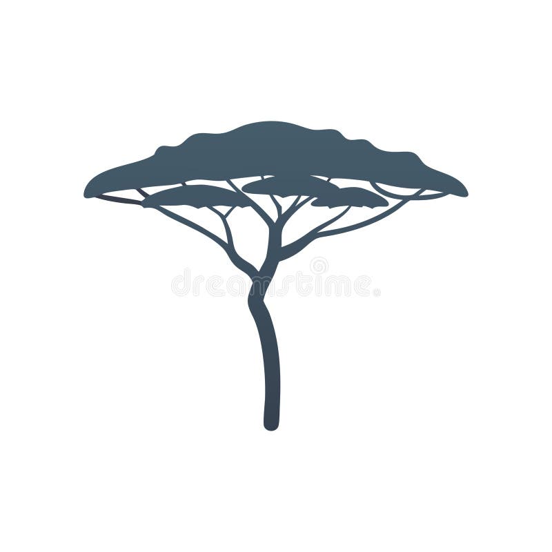 Acacia Tree Vector Silhouette: African Landscape Symbol for Design ...