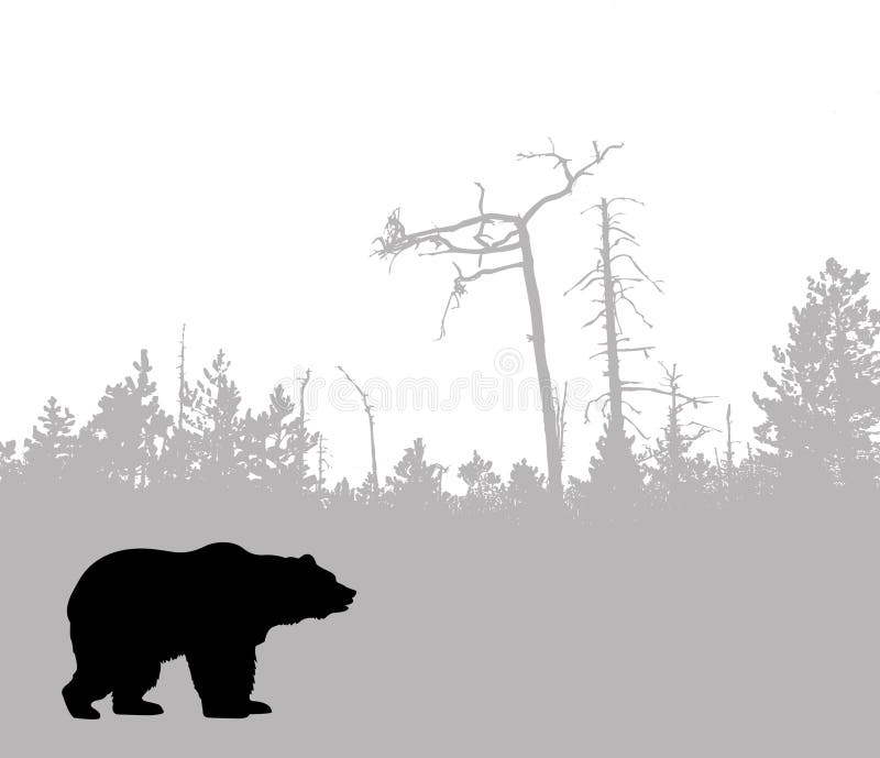 Forest Pine Tree Bear Silhouette Drawn Vector Stock Vector ...