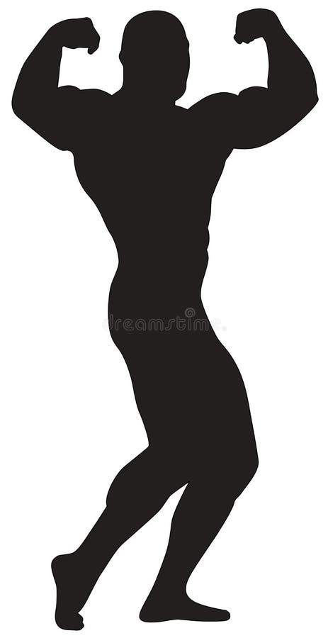 Body Builder Shadow stock illustration. Illustration of chest - 3280057