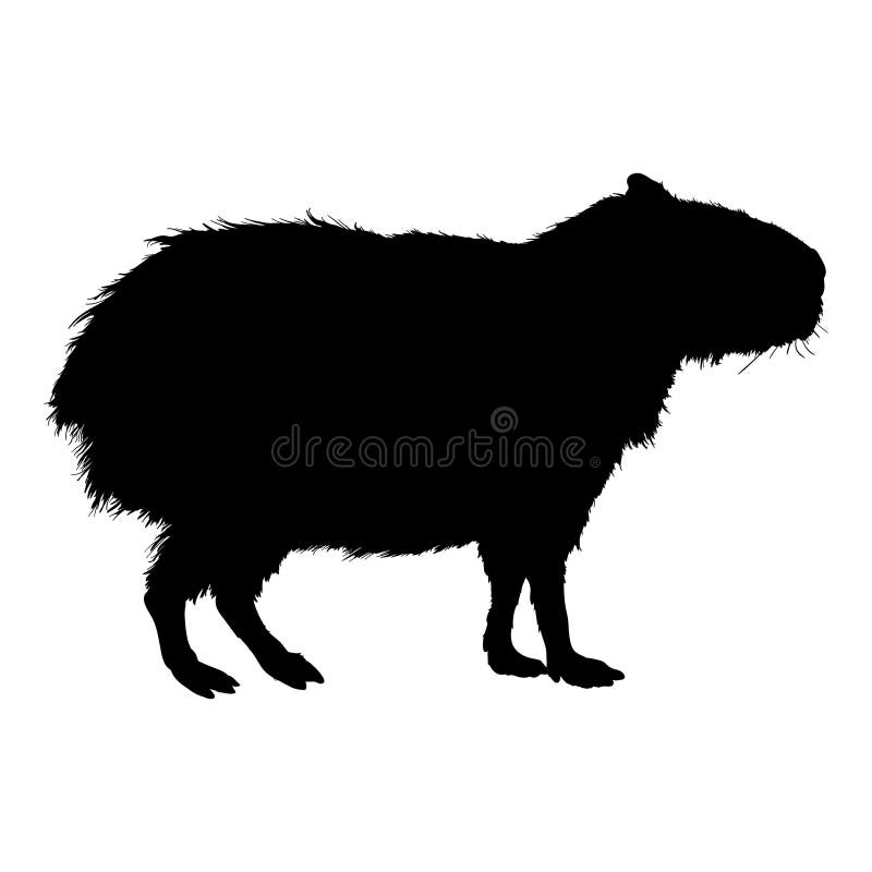 Silhouette Capybara Stock Illustrations – 601 Silhouette Capybara Stock ...