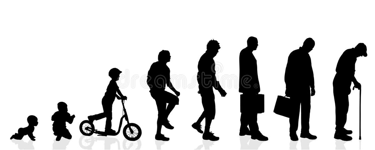 Evolution Silhouette Baby Boy Man Stock Illustrations – 69 Evolution ...
