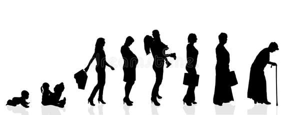 Silhouette Age Progression Stock Illustrations – 63 Silhouette Age ...