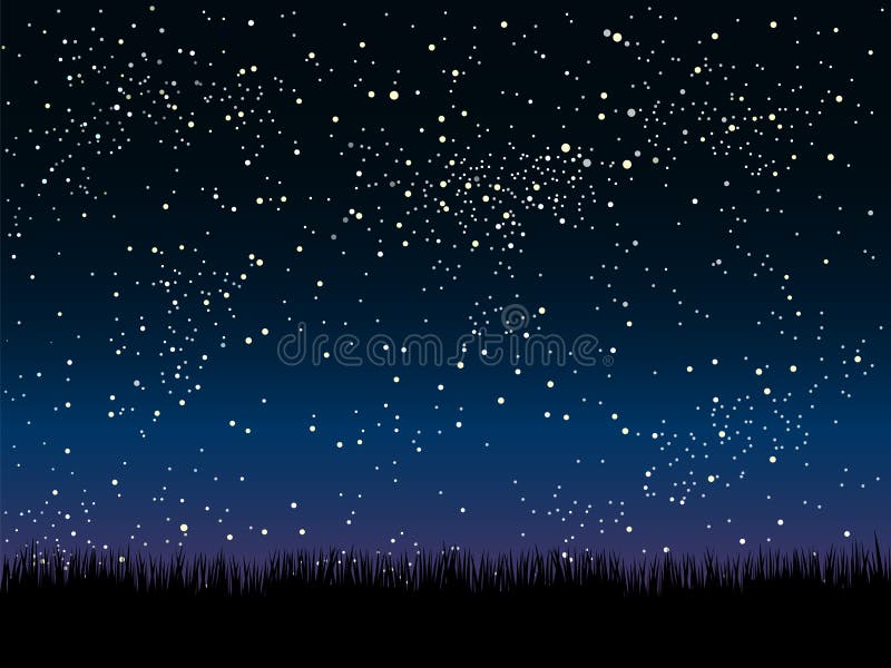 Vector. Silhouette Grass. Starry Sky. Eps 10. Stock Vector ...