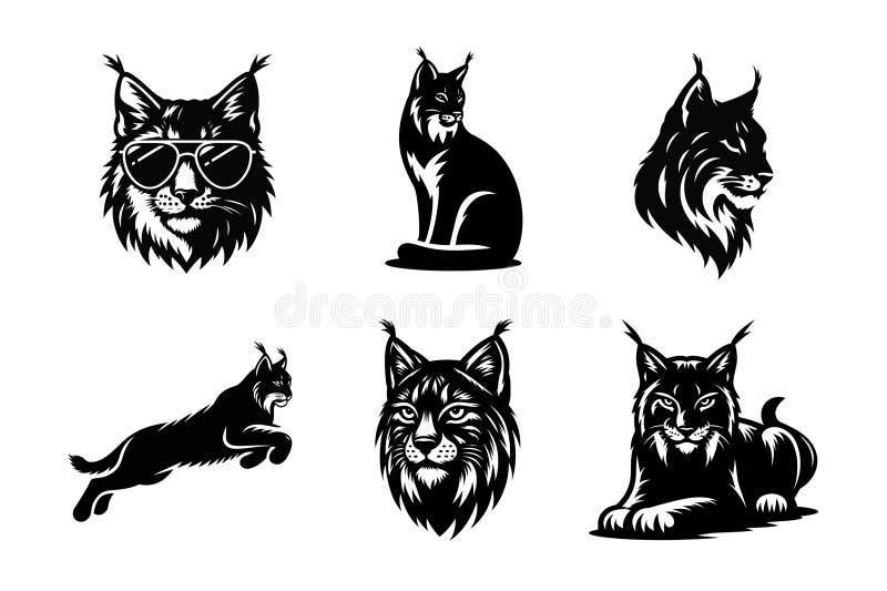 Vector Silhouette of Iberian Lynx Cat, Designed for Print and Digital ...
