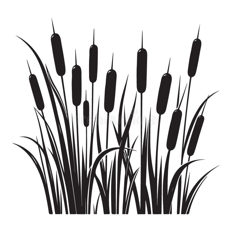 Black and White Cattails Silhouette Illustration for Backgrounds Stock ...