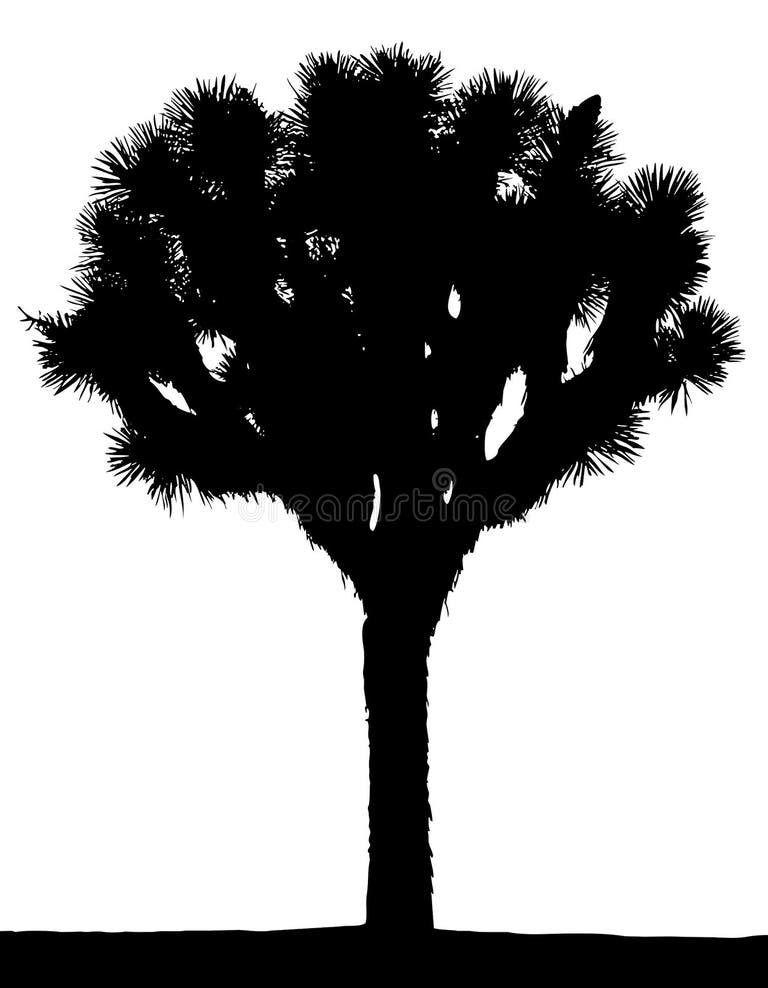 Joshua Tree Black White Stock Illustrations – 139 Joshua Tree Black ...