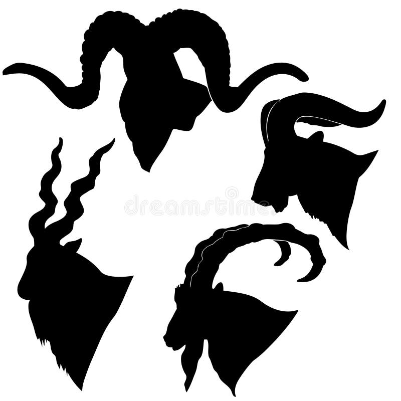 Silhouette mountain ram stock vector. Illustration of graphic - 6726173 Silhouette mountain ram stock vector. Illustration of graphic - 6726173