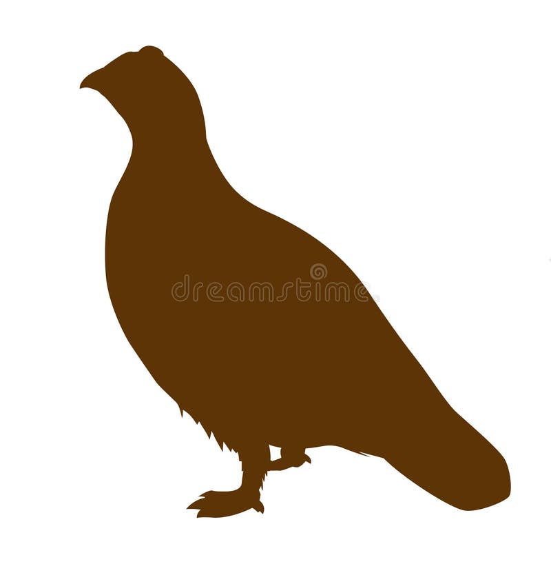 Vector Silhouette of the Partridge Stock Vector - Illustration of ...