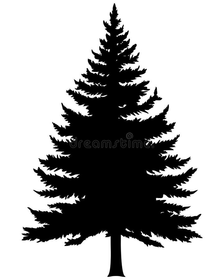 Vector Silhouette of a Pine Tree Design Suitable for Various Creative ...