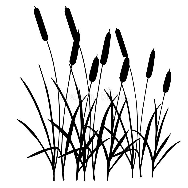 Silhouette Reed Stock Illustrations – 1,849 Silhouette Reed Stock ...
