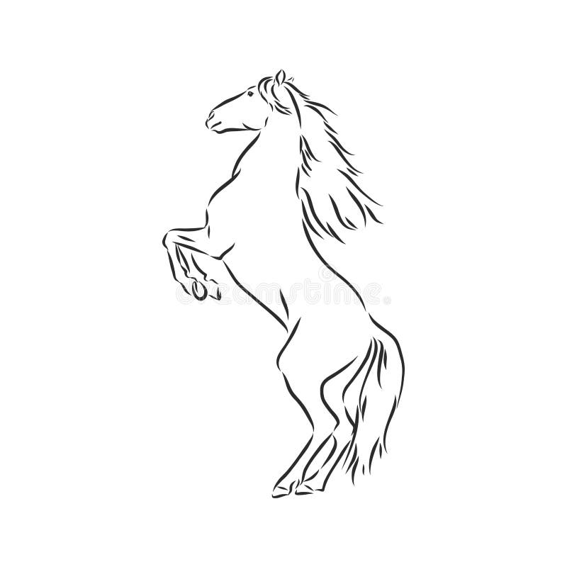 Running Horse Vector Illustration - Black and White Outline. Beautiful ...