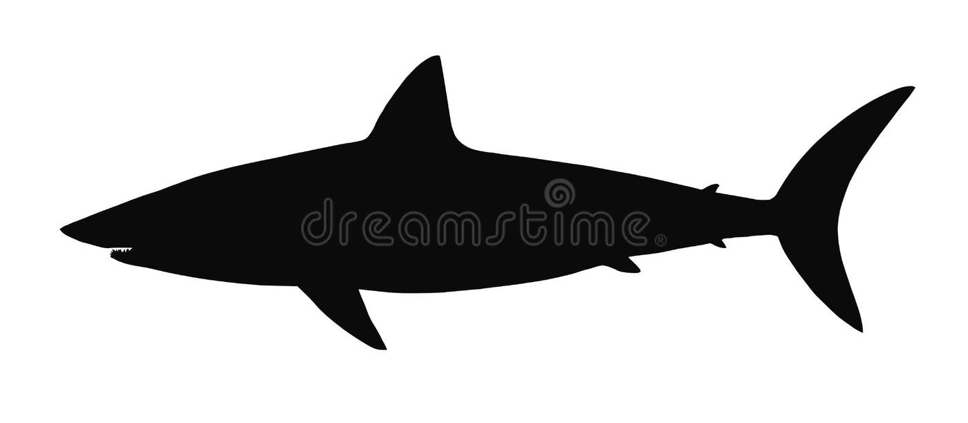 Mako Shark Illustration Stock Illustrations – 170 Mako Shark ...